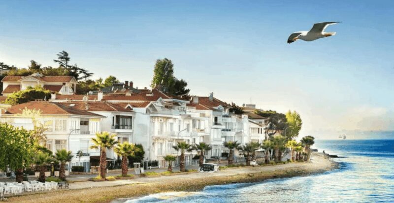 Istanbul: Princes Islands Tour with Heybeliada and Buyukada - Final Thoughts