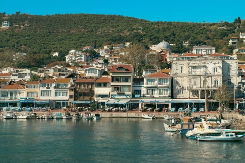 Istanbul: Princes Islands Walking Full-Day Tour - The Experience: A Detailed Breakdown of the Tour