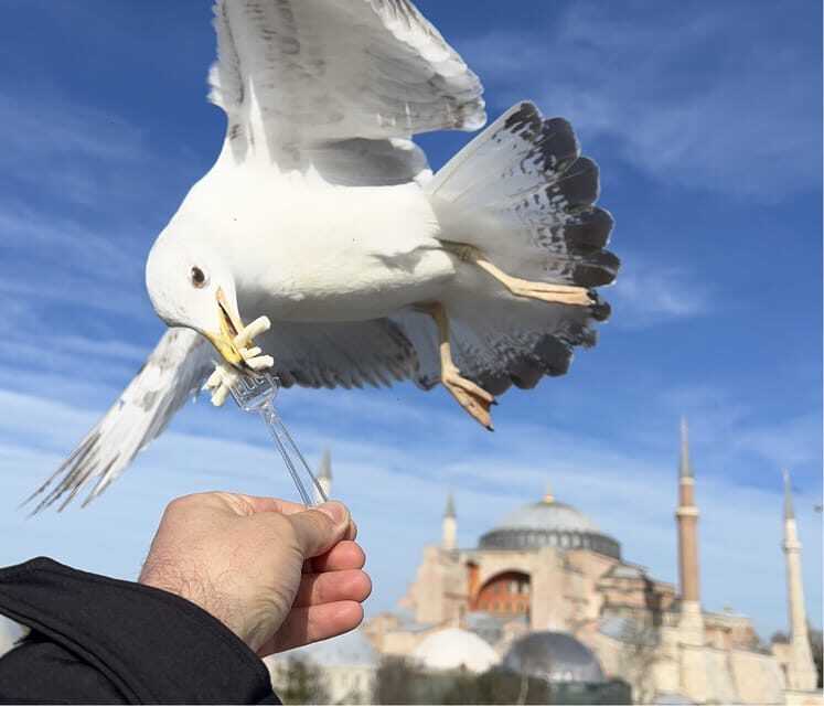 Istanbul: Private City Tour with Transportation - Why this Tour Works for Travelers