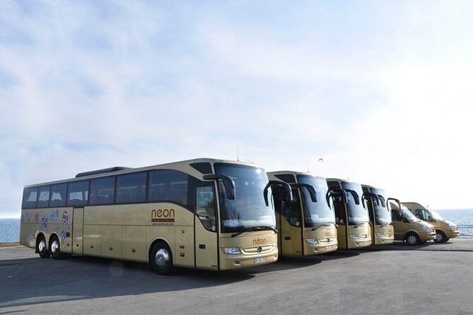 Istanbul Private Cruise Port to City Hotel Transfer - Who Might Want to Consider Alternatives