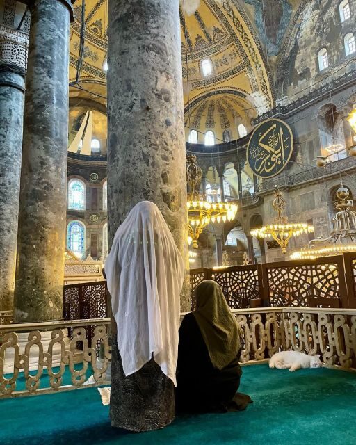 Istanbul Private Full-Day Highlights Tour with Guide - Why You Might Consider This Tour