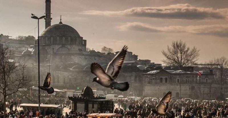 Istanbul: Private Full-Day Old City Highlights Tour - Why Choose This Tour?