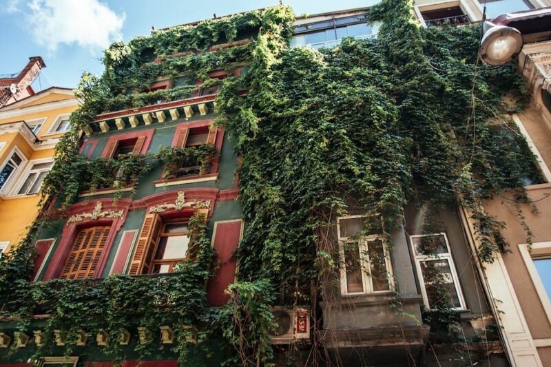 Istanbul: Private Guided Food Tour with 10 Tastings - Frequently Asked Questions