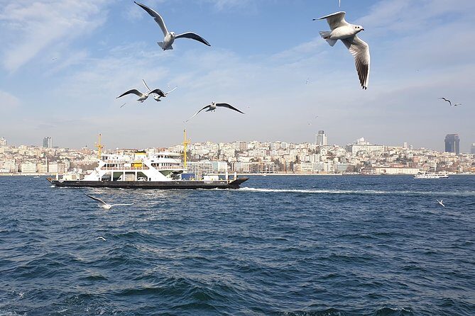 Istanbul Private Guided Tour for Layover Flight. Transfer incl. - The Perfect Fit: Who Should Consider This Tour?