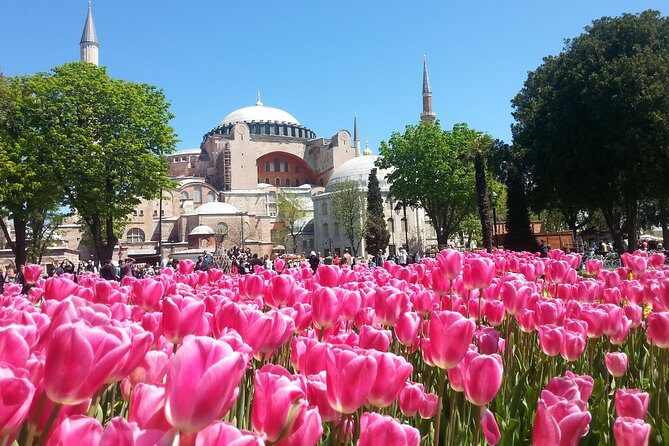 Istanbul Private Tours: 1, 2 or 3 Day Highlights - FAQs