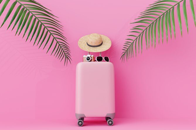 Istanbul Private Transfer from Airport to City Hotels - Who Should Consider This Transfer?