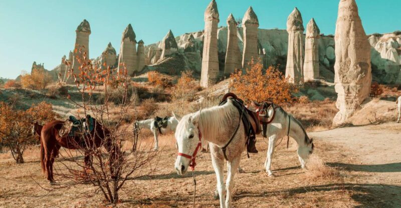 Istanbul to Cappadocia All Inclusive Private Day Tour - The Experience: What to Expect from This Cappadocia Day Trip