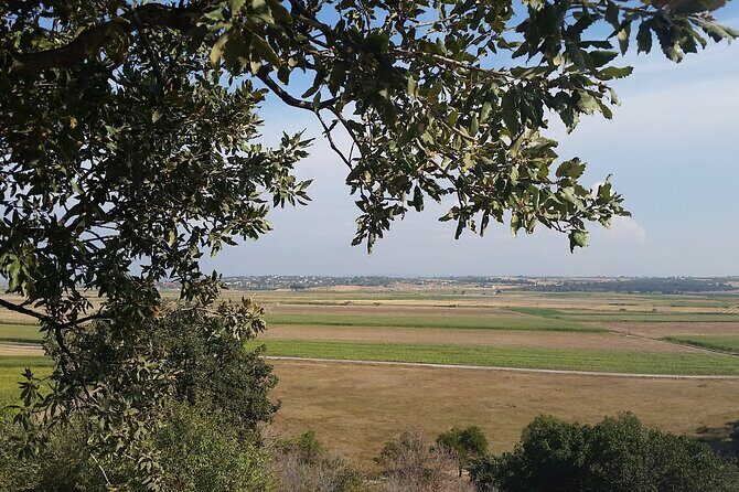 Istanbul to Truva Troy Guided Day Tour with Lunch and Transfers - The Sum Up: Is This Tour Right for You?