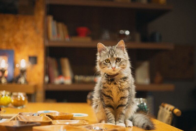 Istanbul:Original Turkish Mosaic Lamp Workshop w/ Snacks - Introduction