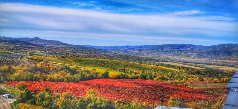 Istria Day Tour from Zagreb - The Return Journey