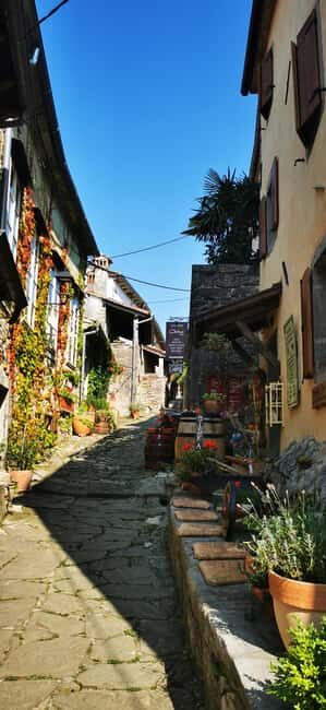 Istria Day Tour from Zagreb - Is This Tour Worth It?