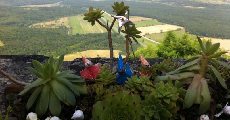 Istria: Guided Tour of Inner Istria with Food Tasting - What to Expect from Your Inner Istria Adventure