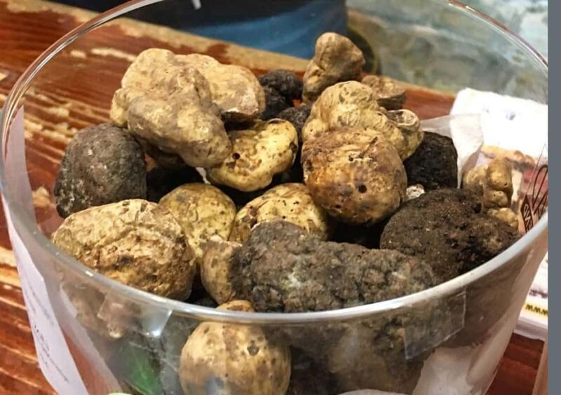 Istria: Guided Tour of Inner Istria with Food Tasting - Final Words