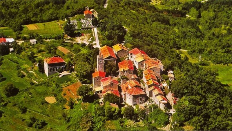 Istria Highlights Tour from Rijeka or Pula - What to Expect on the Istria Highlights Tour