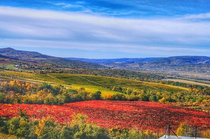 Istria 'original Tuscany' Rovinj, Pula, Hum - Tour from Zagreb - Key Points