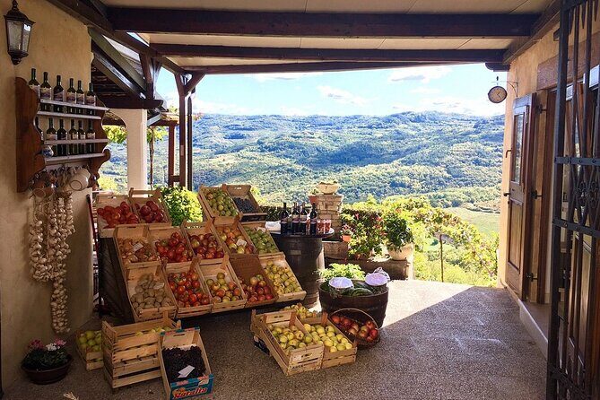 Istria Private Day Trip - Who Is This Tour Best For?