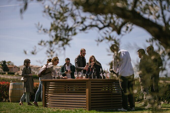 Istria Wine Tour from Rijeka and Opatija - Final Thoughts