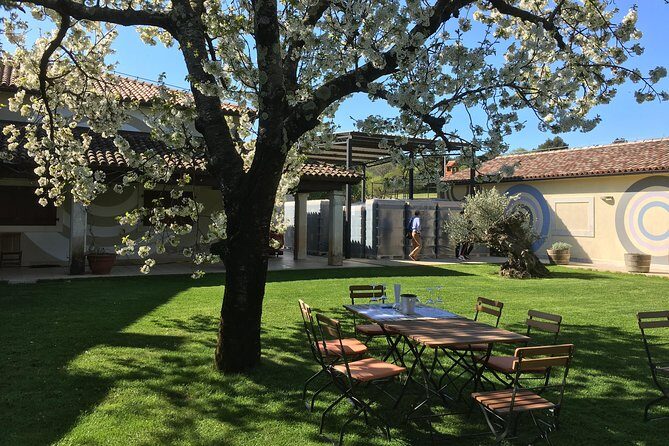 Istrian tapestry - gourmet tour combining wine, truffles and olive oil - Istrian Tapestry - Gourmet Tour Combining Wine, Truffles, and Olive Oil