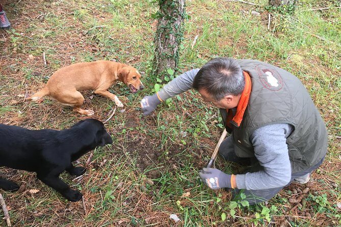 Istrian tapestry - gourmet tour combining wine, truffles and olive oil - Final Thoughts