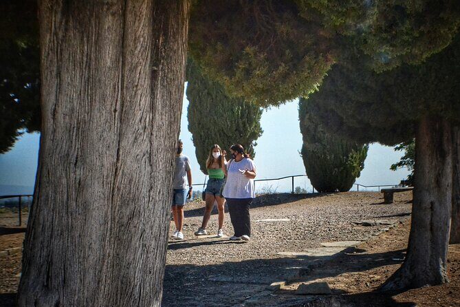 Italica 2-Hour Private Guided Tour - Final Thoughts