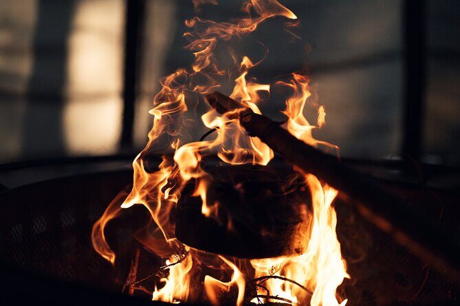 Ivalo: Aurora Hunting with Reindeer - Ivalo: Aurora Hunting with Reindeer — A Genuine Arctic Experience