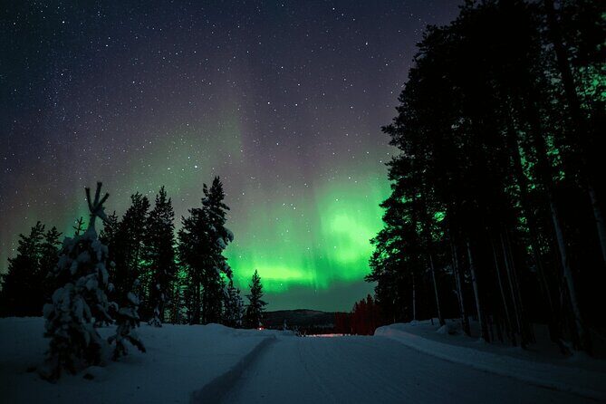 Ivalo: Aurora Hunting with Reindeer - Key Points