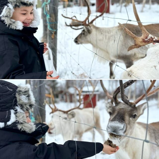 Ivalo: Ice Fishing Tour to Lake Inari, Reindeers & Lunch - Final Thoughts