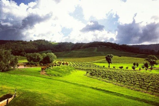 Ivanhoe Wines: Trip Advisor Premium Wine Tasting - FAQ