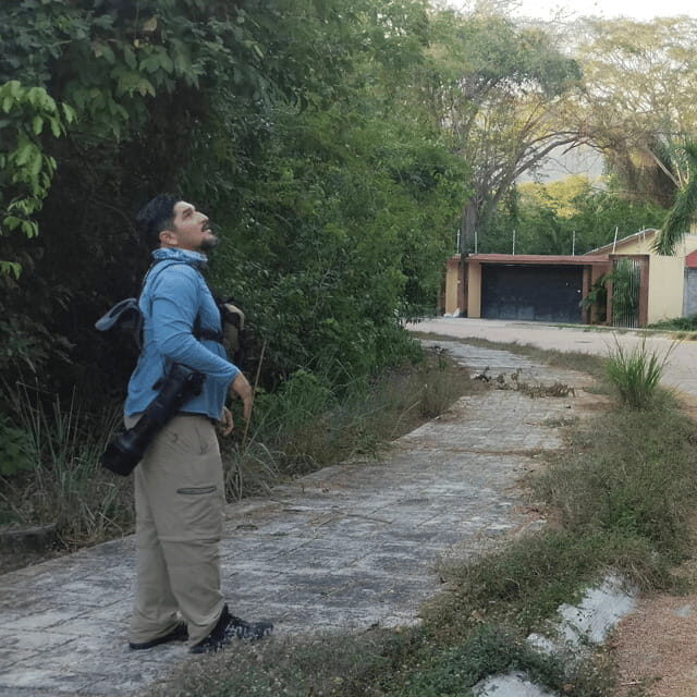 Ixtapa: Bird Watching Tour with Round-Trip Transportation - A Closer Look at the Tour Itself