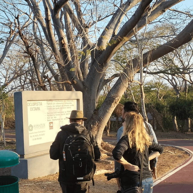 Ixtapa: Bird Watching Tour with Round-Trip Transportation - Final Thoughts