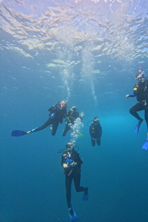 Ixtapa: Discover Diver Course - Additional Tips for Future Divers