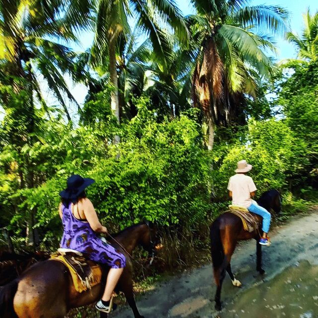 Ixtapa: Horseback Riding Tour Along Playa Larga - Who Should Consider This Tour?