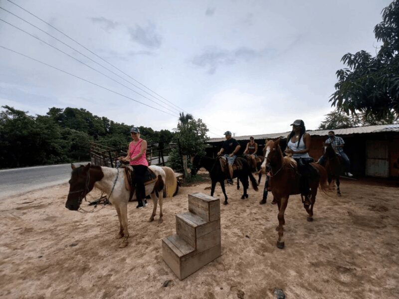 Ixtapa: Horseback Riding Tour Along Playa Larga - FAQ