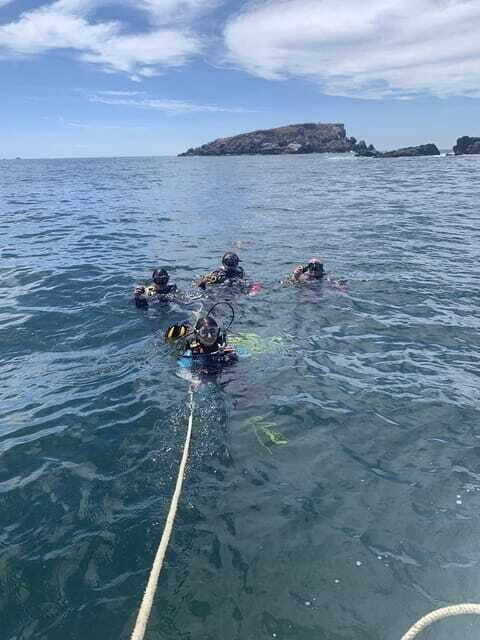 Ixtapa: Marine Life Exploration - The Experience with Guides and Group Size