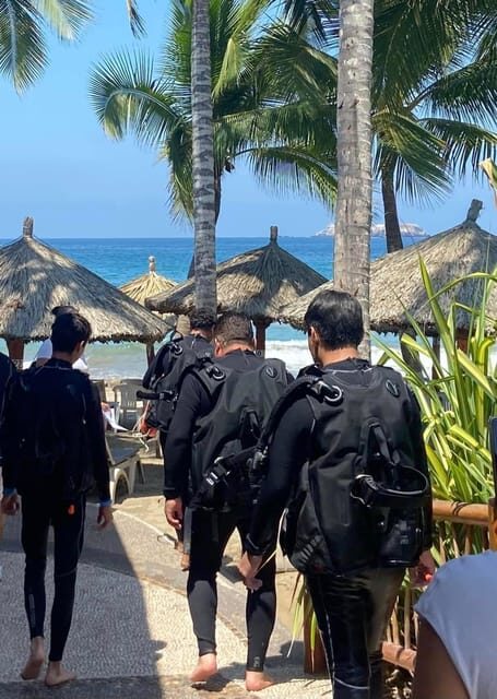 Ixtapa: Open Water Diver Course - Final Thoughts