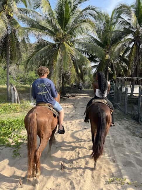Ixtapa-Zihuatanejo: Horseback Riding Tour - An In-Depth Look at the Ixtapa-Zihuatanejo Horseback Riding Experience