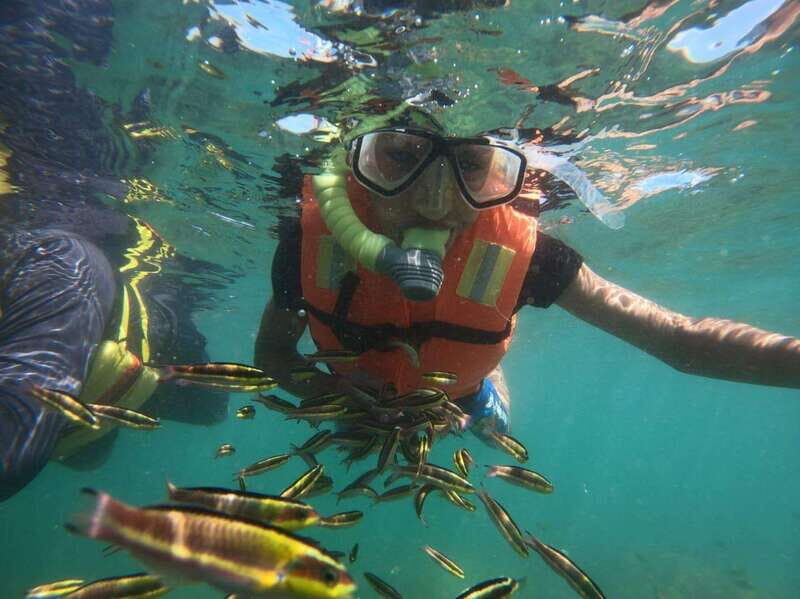 Ixtapa-Zihuatanejo: Island of Ixtapa Day Trip with Lunch - Key Points