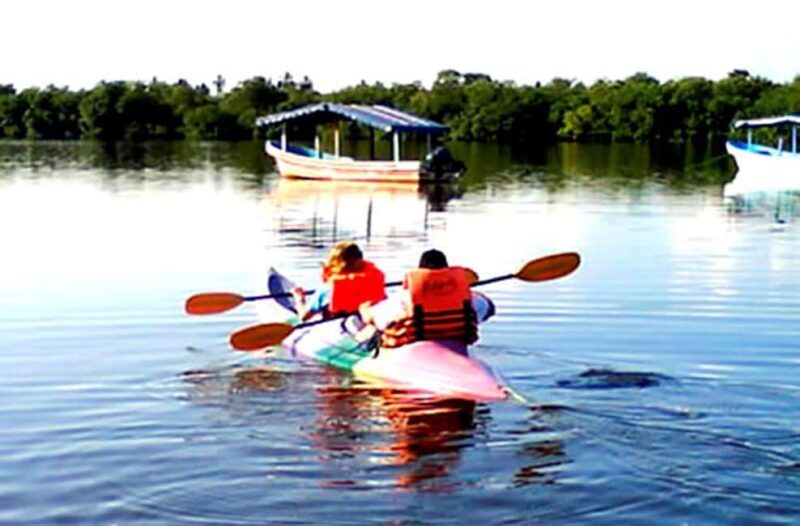 Ixtapa Zihuatanejo: Kayak Tour at Barra de Potosí - Key Points