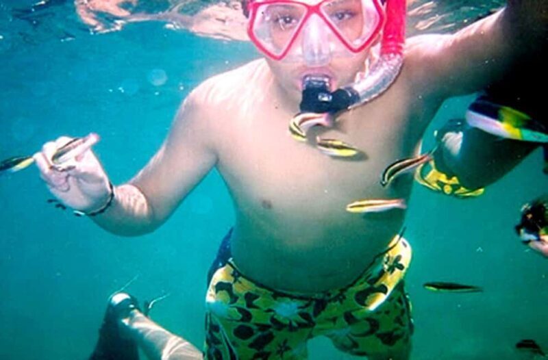 Ixtapa Zihuatanejo: Kayaking and Snorkeling Tour - Key Points