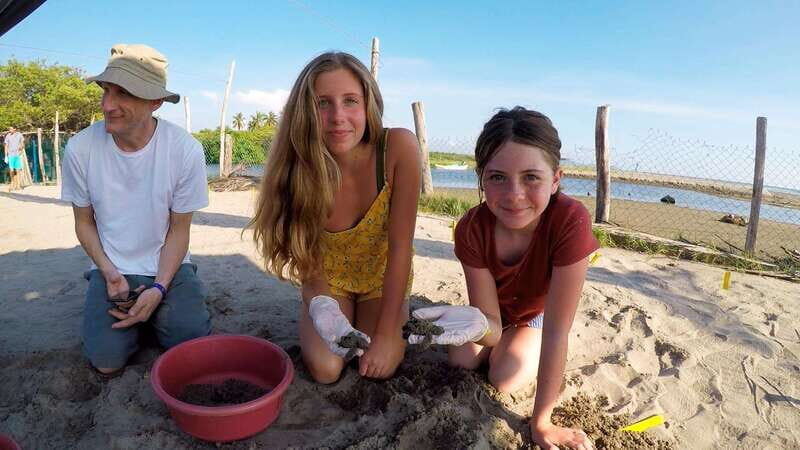 Ixtapa-Zihuatanejo: Turtle Release Tour. - Key Points