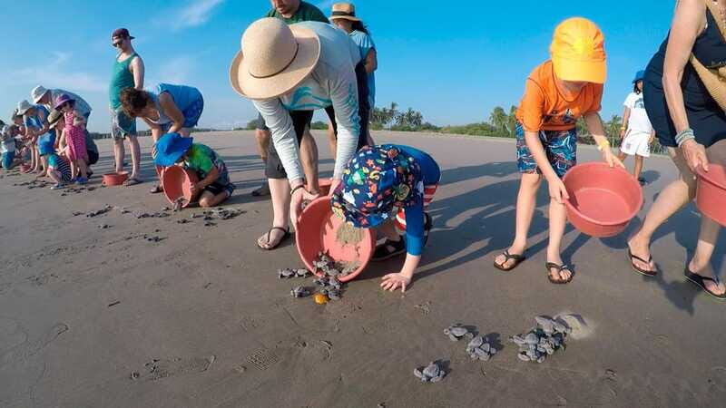 Ixtapa-Zihuatanejo: Turtle Release Tour. - FAQs