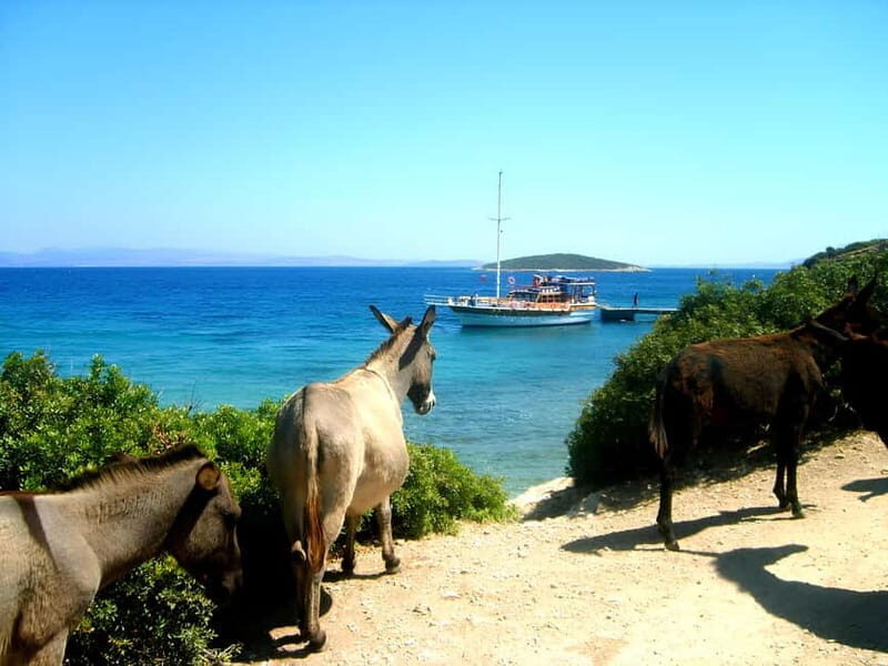 Izmir: Cesme Boat Tour and Alacati Visit - A Deep Dive into the Cesme Boat Tour Experience