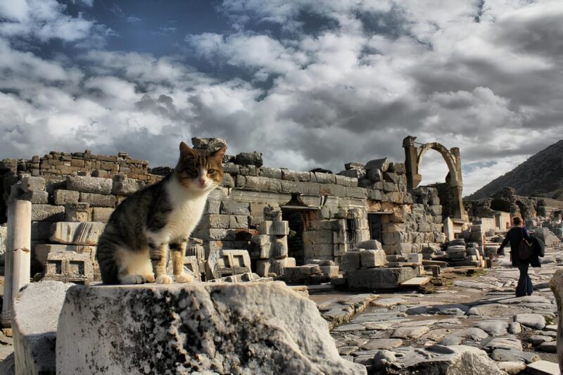 Izmir : Ephesus and Sirince Guided Tour - The Itinerary in Detail