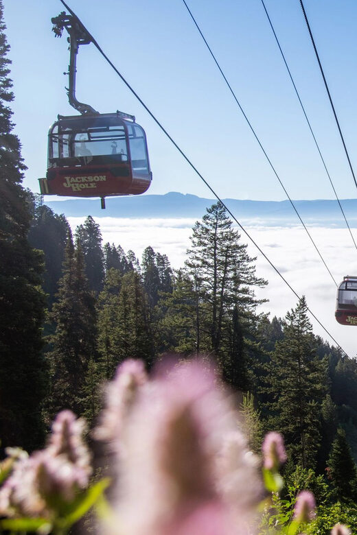 Jackson Hole: Aerial Tram and Gondolas Sightseeing - Introduction