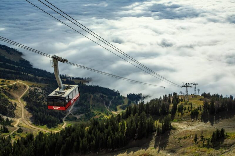 Jackson Hole: Aerial Tram and Gondolas Sightseeing - The Sum Up