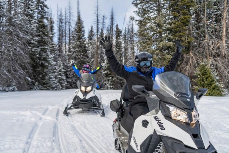 Jackson Hole: Turpin Meadow Snowmobile Tour - An In-Depth Look at the Snowmobile Experience