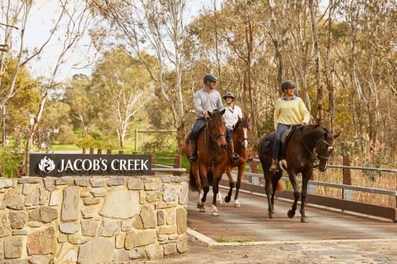 Jacobs Creek Vineyard Horse Ride and Tasting - The Itinerary: What to Expect from Start to Finish