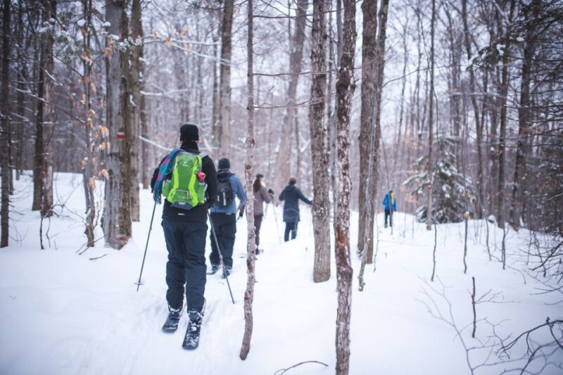Jacques-Cartier National Park: Skiing Excursion - Who Will Love This Tour?