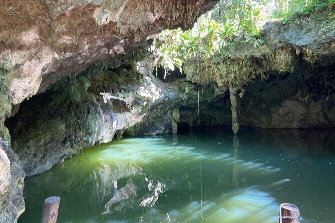 Jade Caverns Private Jeep Tour with Lunch and Snorkeling - Introduction: An Authentic Cozumel Adventure?