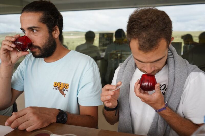Jaén: Aires de Jaén Olive Oil Tasting Class - Why This Experience Works
